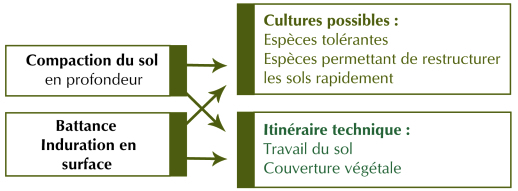 Accueil guide scv - L'état physique du sol
