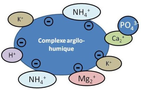 étude de cas Mulch - La structure d'un sol